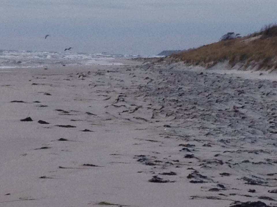 Skåne runt blogg: Borrby strand - Löderups strandbad